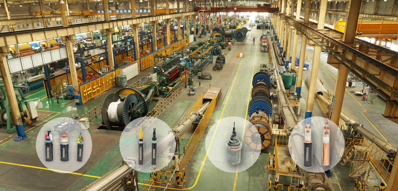 Home - Longtermgroup cable machine